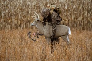 A Comprehensive Guide To Using A Deer Decoy | Blocker Outdoors