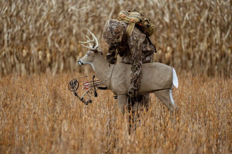 A Comprehensive Guide To Using A Deer Decoy | Blocker Outdoors